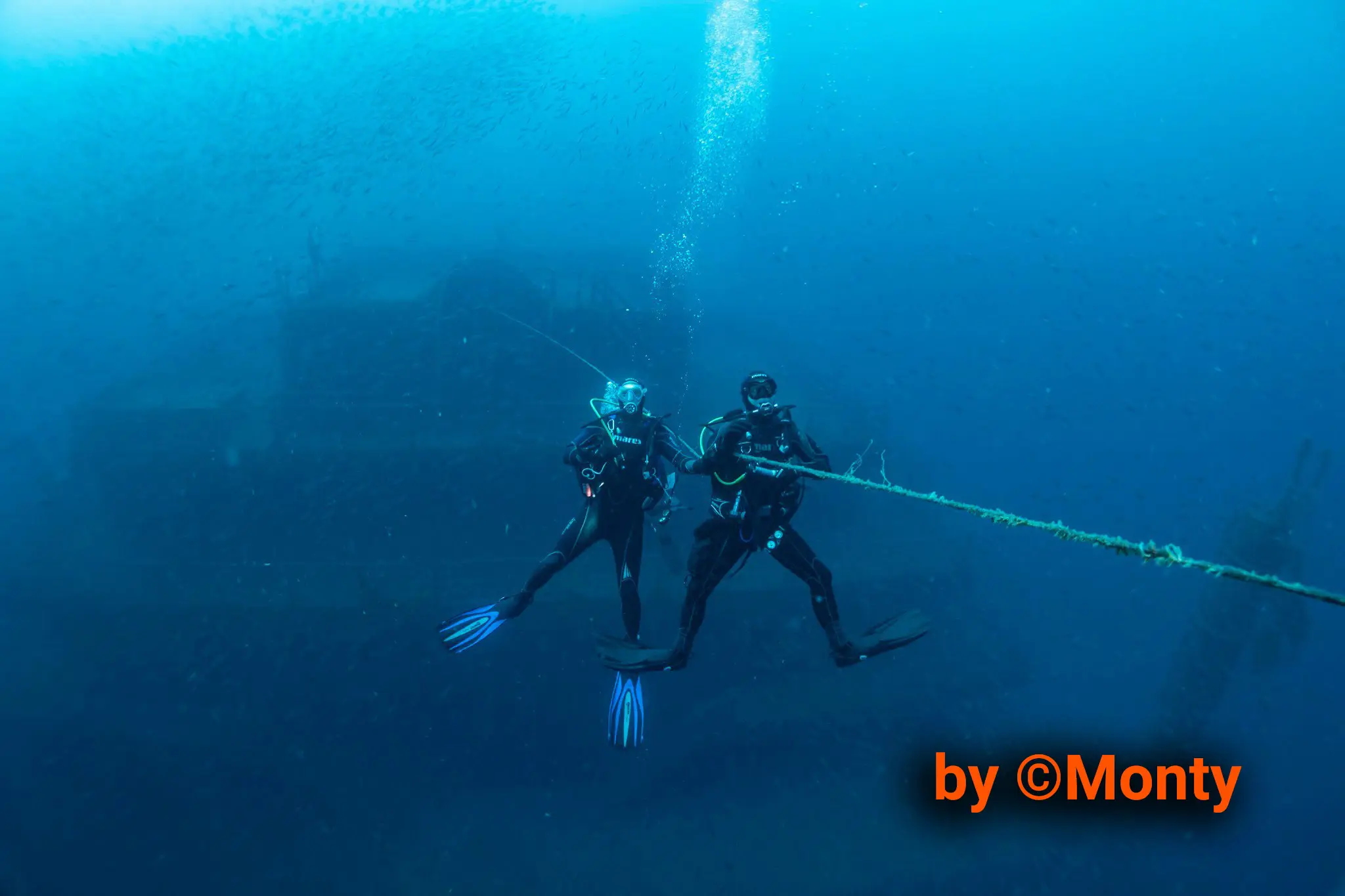 Relitto Haven – Immersioni e Fotogallery S.A.E.T. Sub Magenta